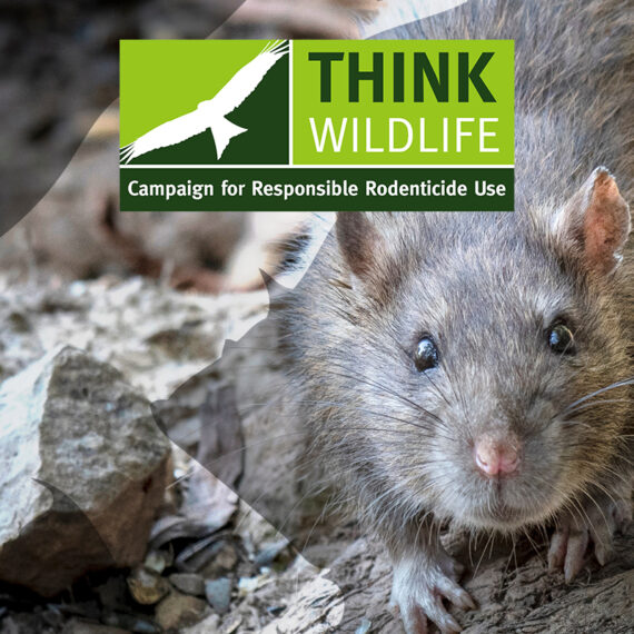 CRRU UK - Think Wildlife